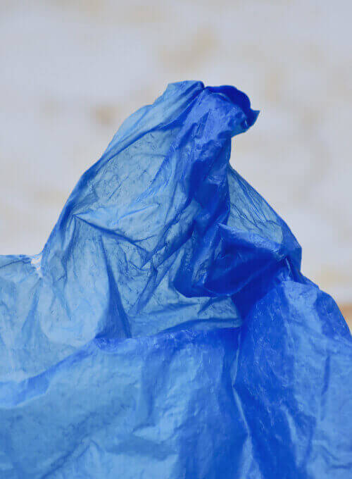 PayPal Button element - HAMA STORE®